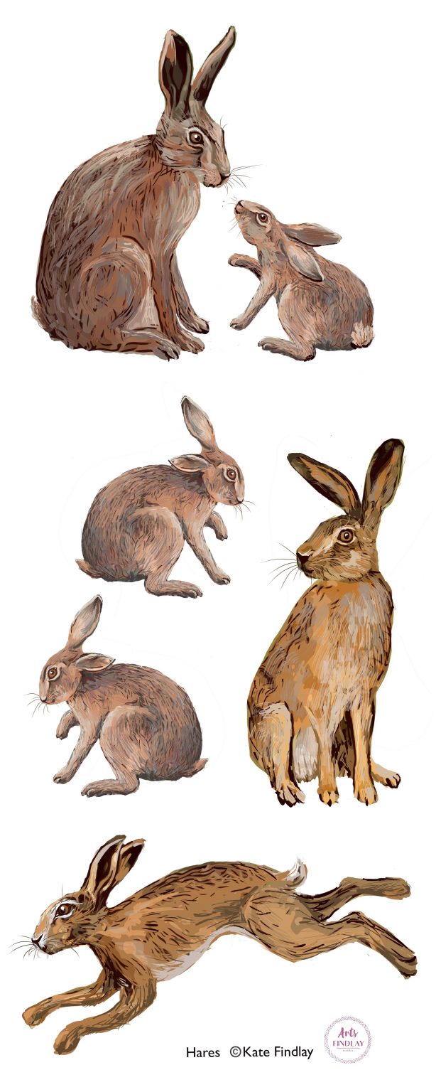 Be the first to review “Hares fabric panel” Cancel reply