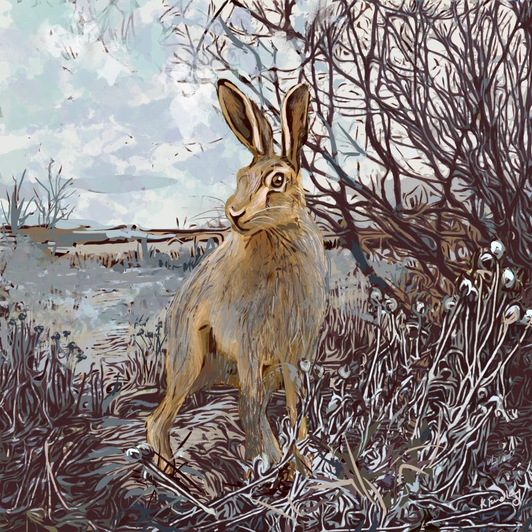 Hedgerow Hare fabric panel