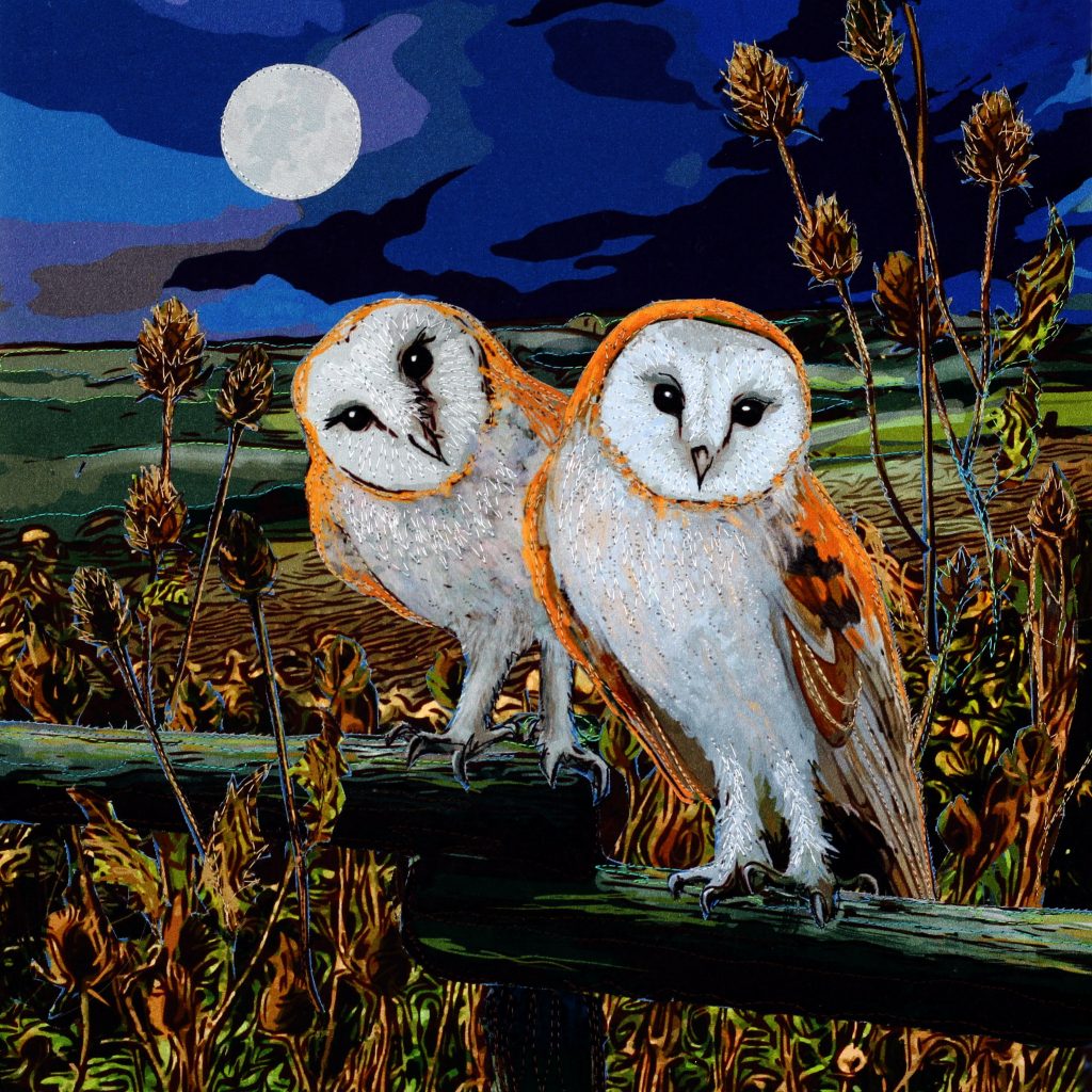 Shop Home Kits KIT : Young Owls