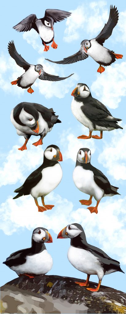 Be the first to review “Puffins panel” Cancel reply